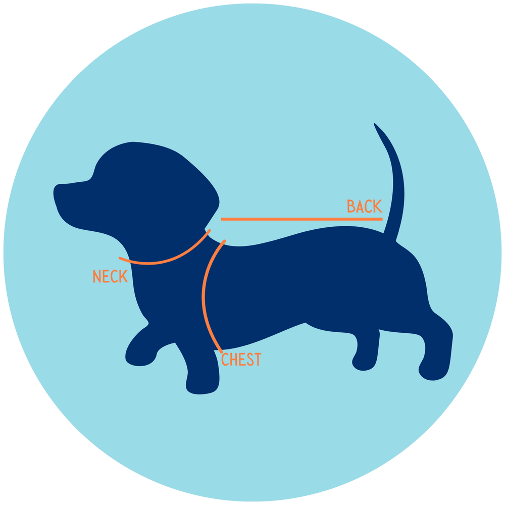 YOUR PUP Pet Measurement Guide | Size Guide and Step Guide - Your Pup